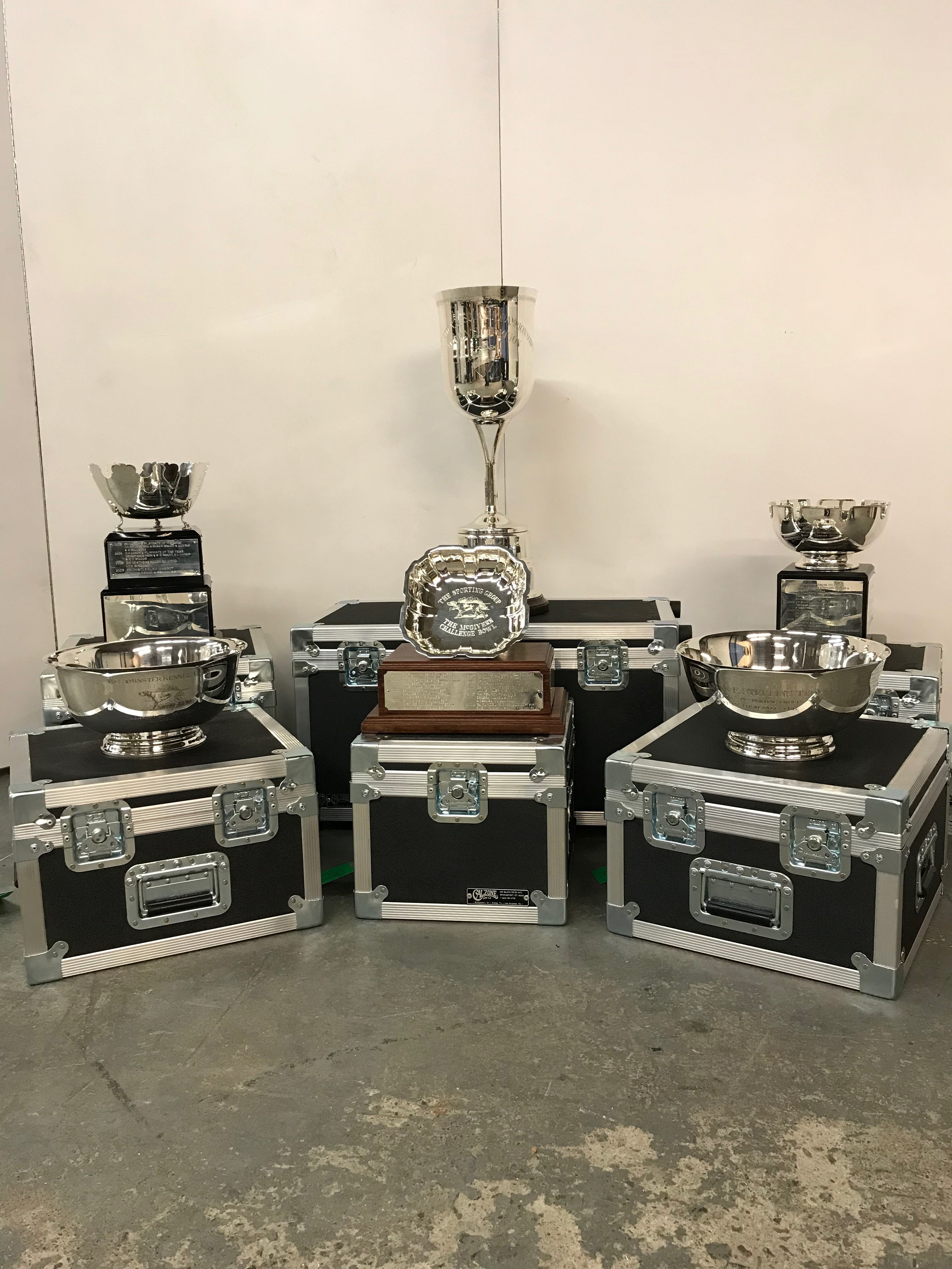 Trophy Travel Cases - ATA Cases | Calzone-Anvil Cases